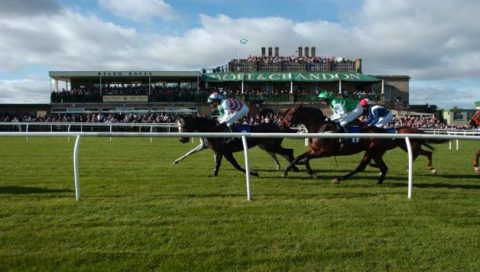 The Ultimate Guide to Kelso Racecourse | Free Racing Tips